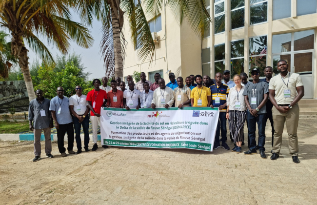 Update on seed money projects tackling salinity | NWP